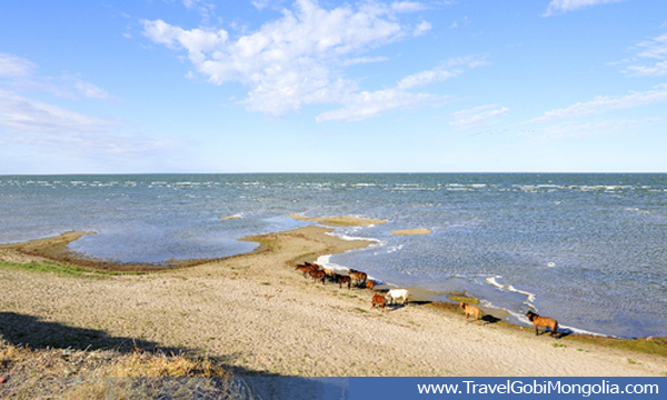 Buir-Lake-view - Travel Gobi Mongolia