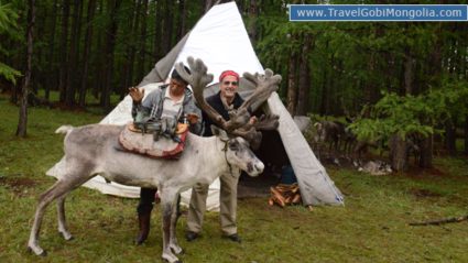 Best of Central & North Mongolia: Loop Sightseeing Tour - Travel Gobi ...